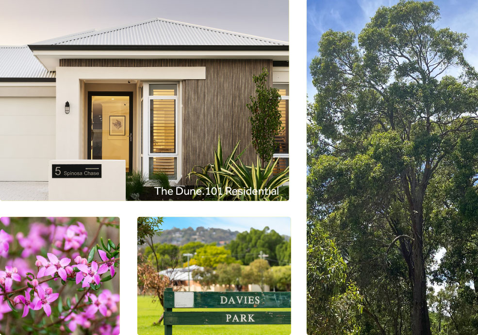 Home - Bloom Maida Vale